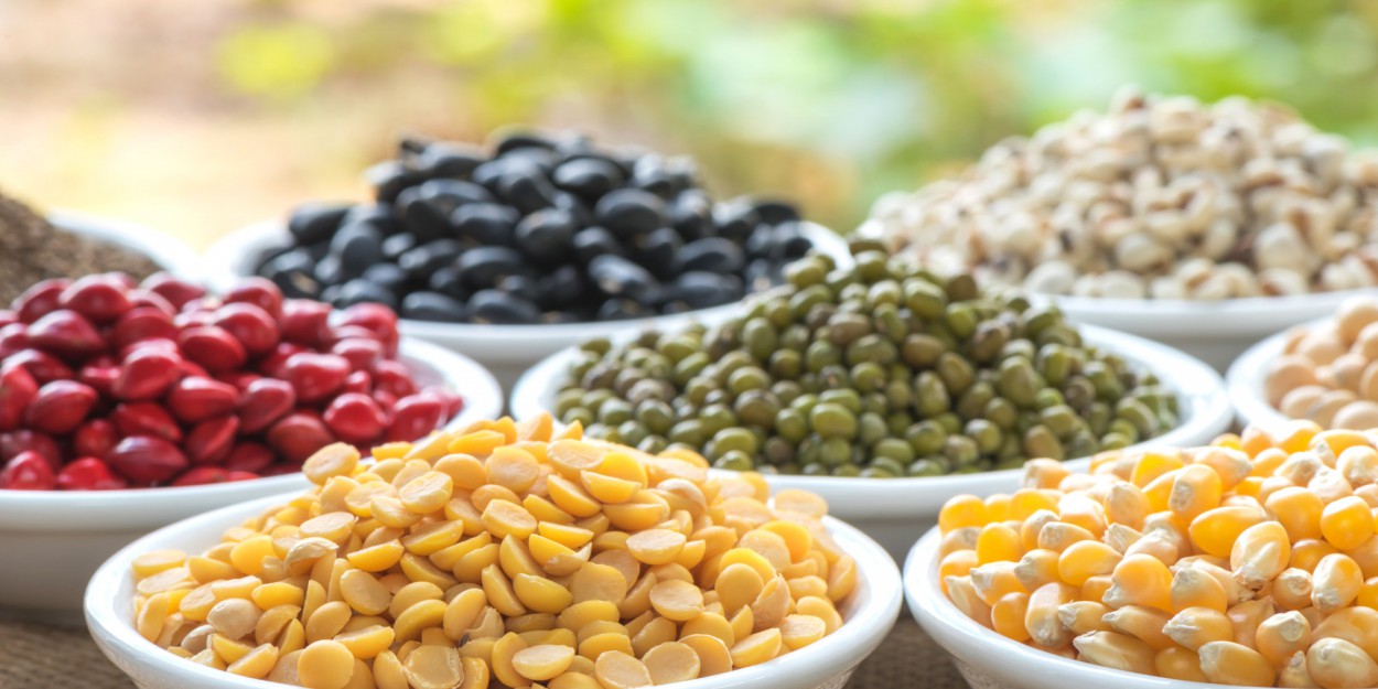 Manitoba Pulse & Soybean Growers