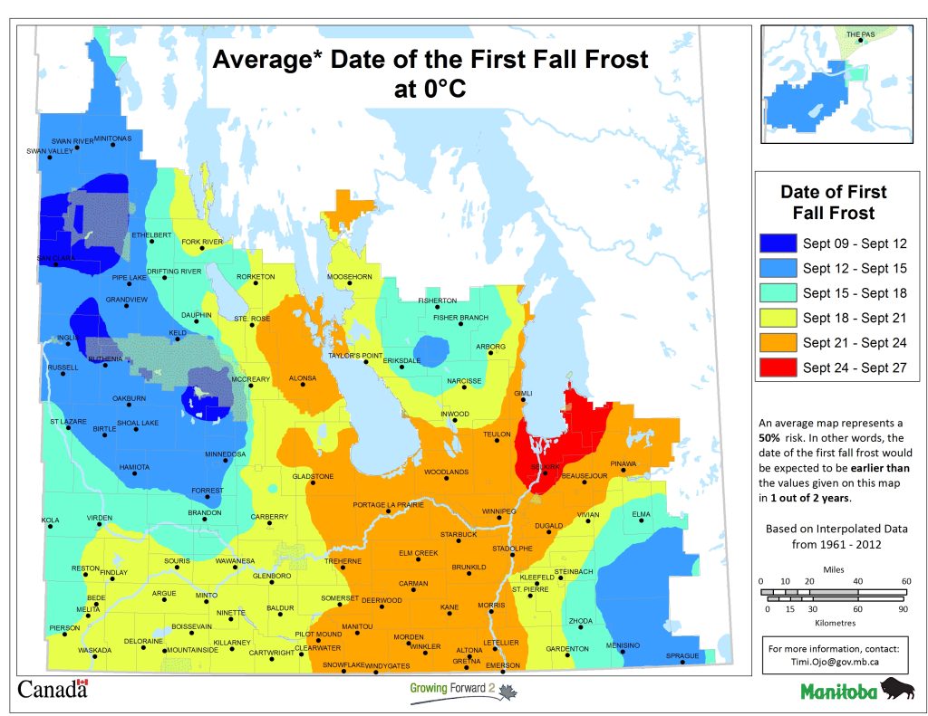 Impact of Fall Frost on Soybeans – Manitoba Pulse & Soybean Growers
