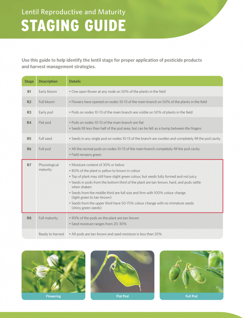 Pulse and Soybean Growth Staging Guides – Manitoba Pulse & Soybean Growers