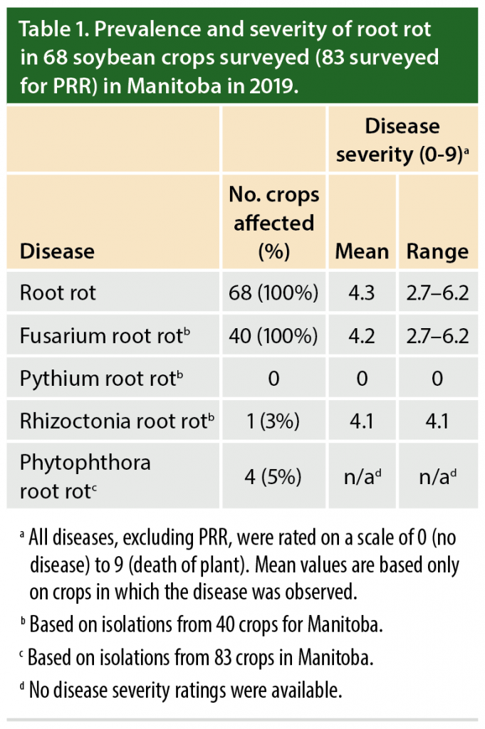 Status of Root Rot Diseases in Soybeans, Peas and Dry Beans in 2019 ...