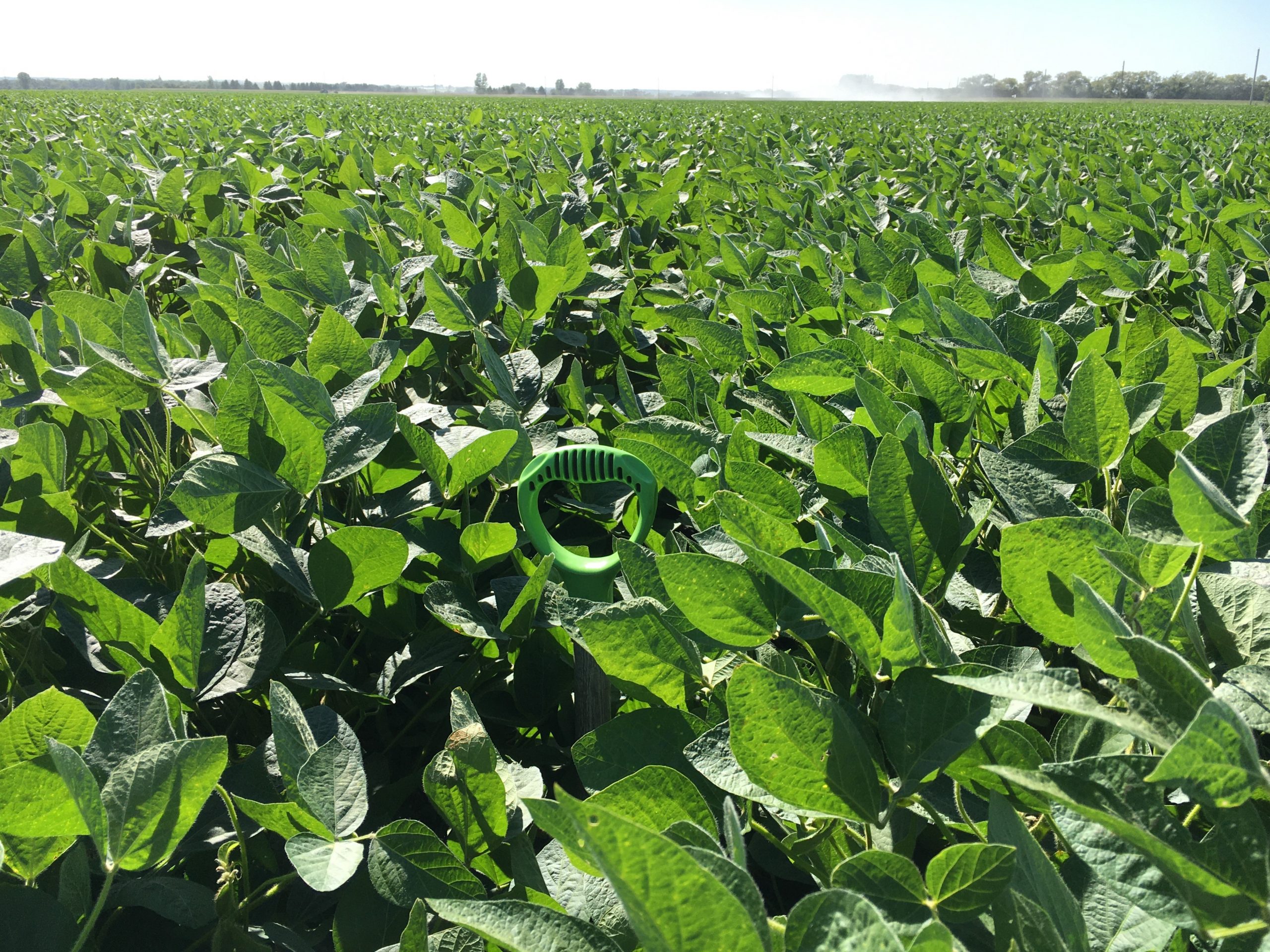 Manitoba Pulse & Soybean Growers