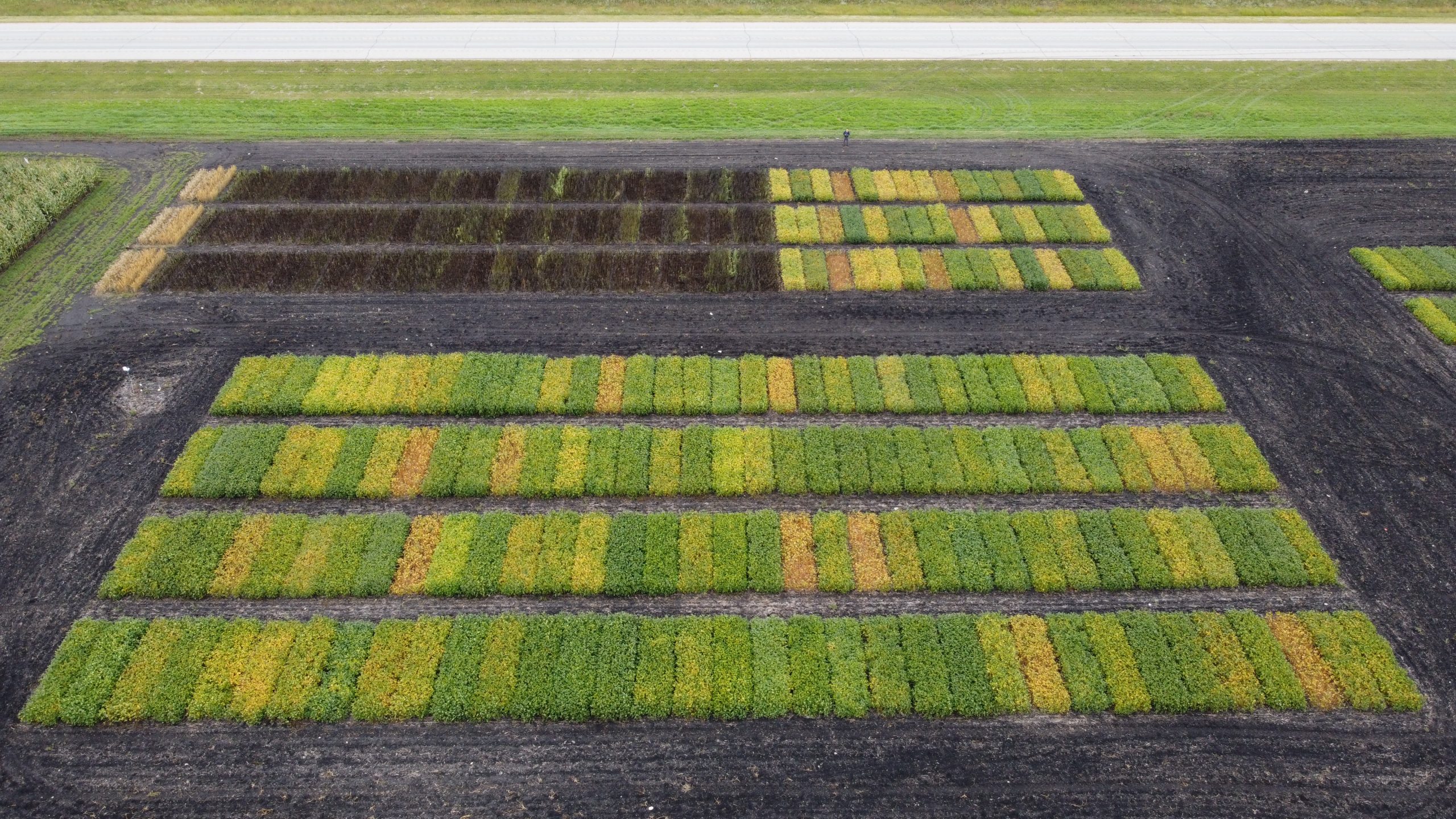 Manitoba Pulse & Soybean Growers