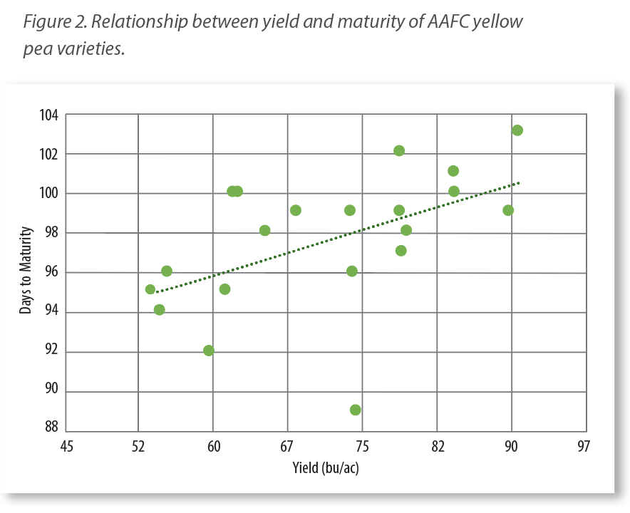 Field Pea Breeding at Agriculture and Agri-Food Canada – Manitoba Pulse ...