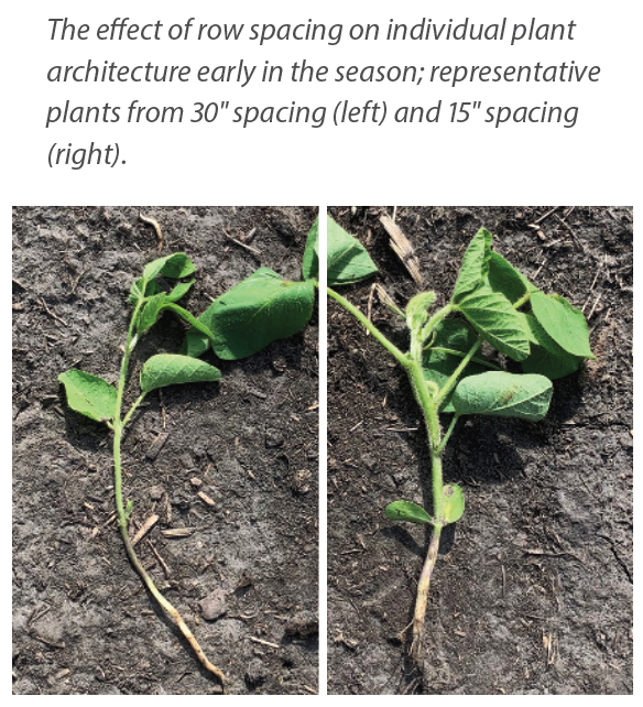 On-Farm Network Soybean Row Spacing Trials – Manitoba Pulse & Soybean ...