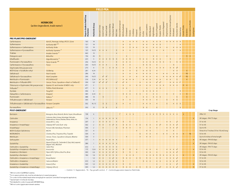 Staging Field Peas for Herbicide Timing – Manitoba Pulse & Soybean Growers
