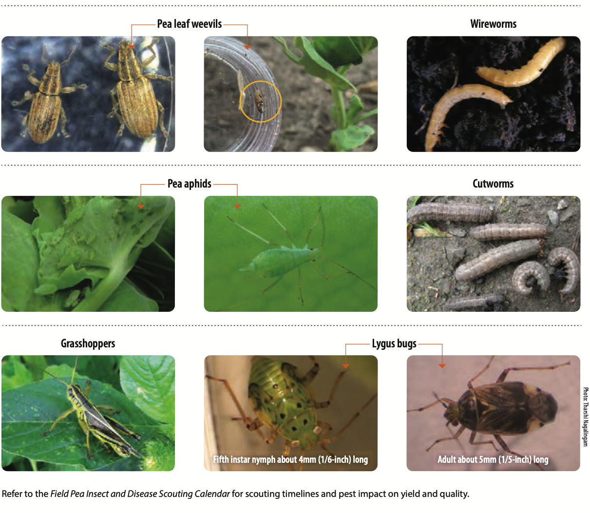 301 Moved Permanently