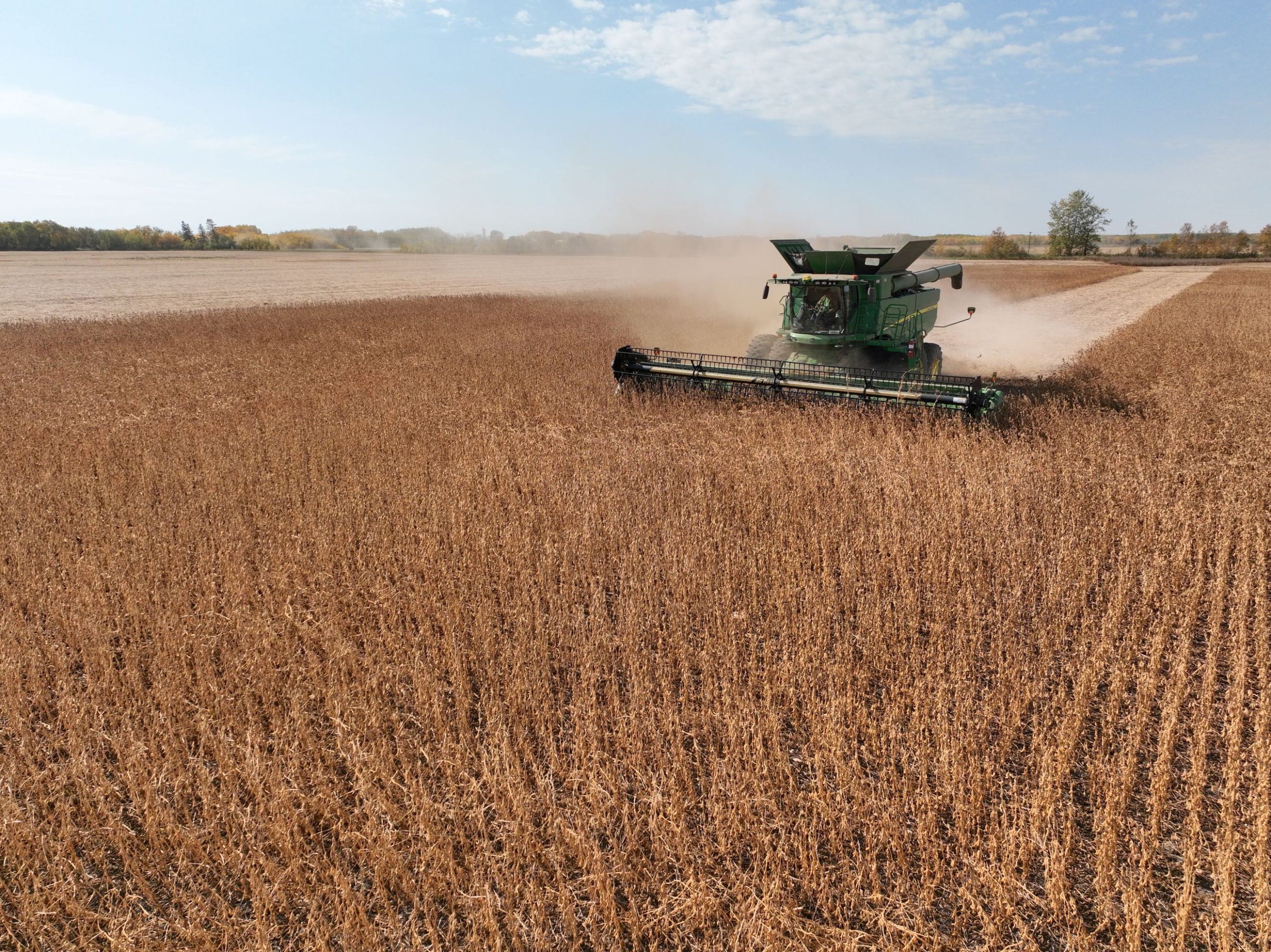 The Bean Report – August 30, 2023 – Manitoba Pulse & Soybean Growers