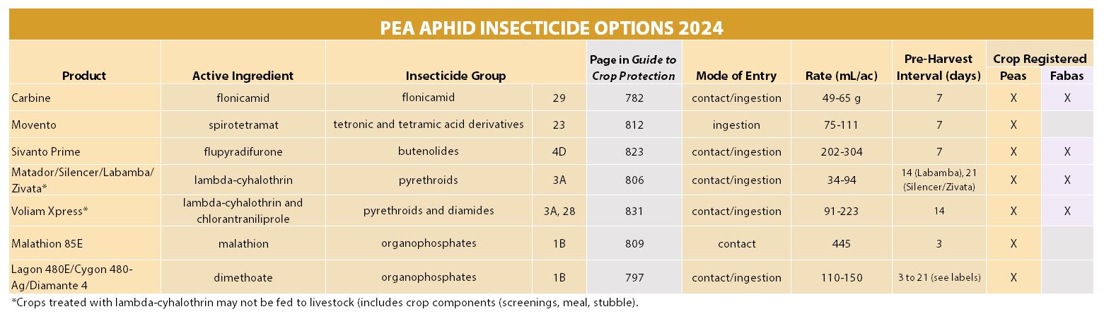 Pea Aphid Insecticide Options 2024 – Manitoba Pulse & Soybean Growers